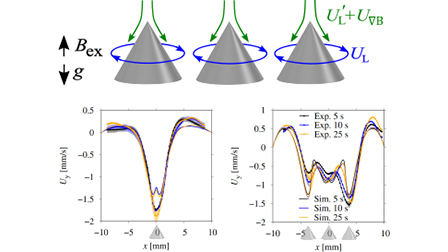 Magnetohydrodynamic effect during electrodeposition at conically ...