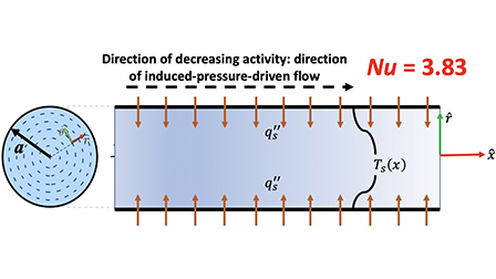 Volume 37 Issue 3 | Physics of Fluids | AIP Publishing