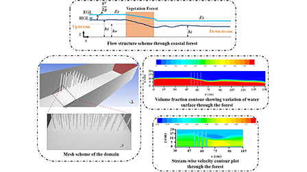 Optimizing coastal forest arrangements for tsunami flow dynamics using ...