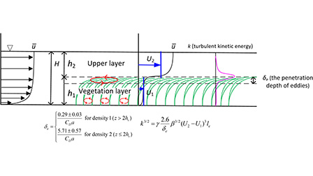 Hydrodynamics of turbulent flow in channels with submerged flexible vegetation canopy | Physics ...