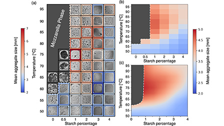 Phase behavior of Cacio e Pepe sauce | Physics of Fluids | AIP Publishing