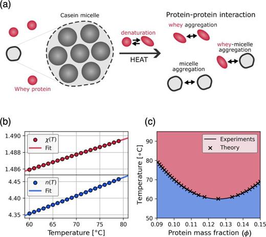 Phase behavior of Cacio e Pepe sauce | Physics of Fluids | AIP Publishing
