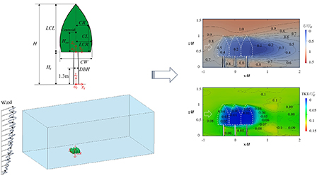 Evaluation of the aerodynamic loads over isolated and clustered tree ...