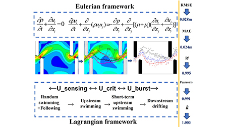 An improved Eulerian–Lagrangian agent method framework for simulating fish behavior in fishways ...