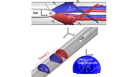 Wake dynamics and three-dimensional shock wave morphology in an ...