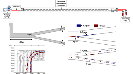 Optimized designs for high-efficiency particle sorting in serpentine ...