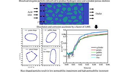 Fluid-driven migration of dissolved irregular particles in corroded ...