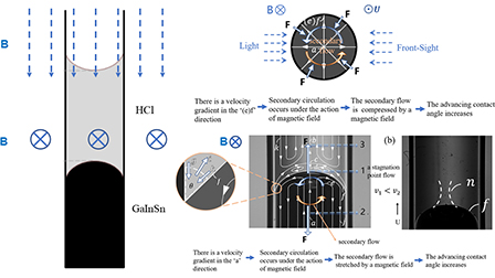 The dynamic contact angle of liquid metal under magnetic field ...