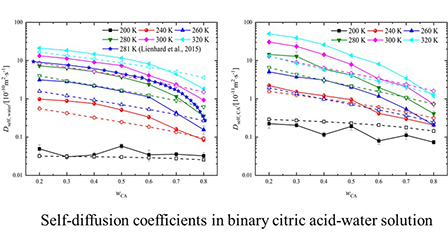 Quantitative description of self-, Maxwell–Stefan, and Fick diffusion coefficients in sucrose ...