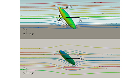 Pitch angle effects on the detachment of a prolate spheroidal particle ...