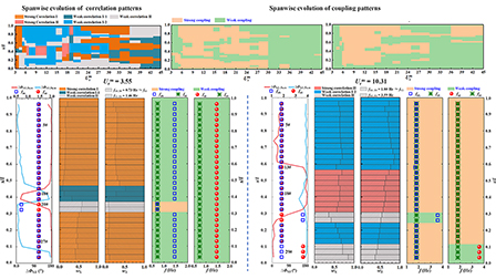 An insight into the correlation and coupling interactions in the vortex ...