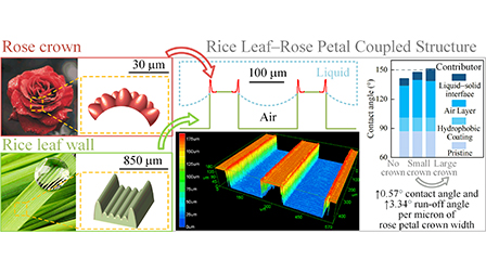 Beyond primitive bionic surfaces: Bionic structures coupled surface ...