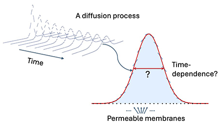 Time-dependent diffusion in one-dimensional disordered media decorated ...
