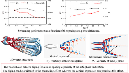 Hydrodynamic interaction and energy-saving mechanisms of two three ...