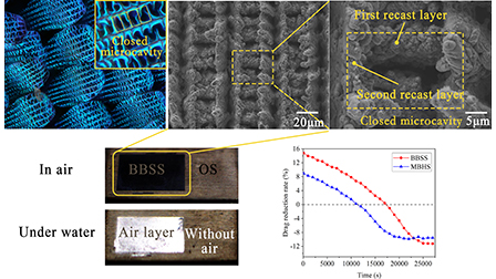 Stable air plastron on butterfly-inspired superhydrophobic surfaces for ...