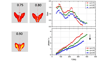 Combustion instability of a premixed swirl flame with/without central ...