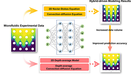 Hybrid physics-data-driven deep learning for pore-scale transport in microfluidic system ...