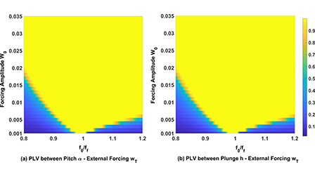 Forced synchronization in a nonlinear aeroelastic system under external forcings | Physics of ...