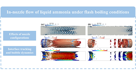 Liquid ammonia in-nozzle flow: Effects of aspect ratio and surface ...