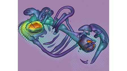 A soft particle collision model based on the immersed boundary method for smooth strictly convex ...