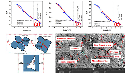 Pore evolution, mechanical response, and energy dissipation mechanisms ...