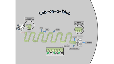 Enhanced microparticle focusing in a serpentine microchannel integrated ...