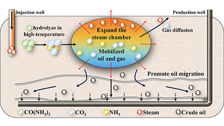 Enhanced oil recovery in heavy oil by steam-assisted gravity drainage ...