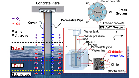Chloride transport dynamics in sound and cracked concrete under counter ...