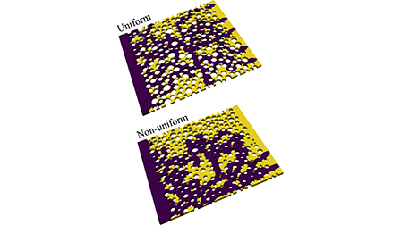 Pore-scale fluid dynamics in heterogeneous porous media: Insights from ...