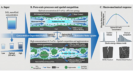 Volume 38 Issue 2 | Physics of Fluids | AIP Publishing