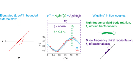 Volume 38 Issue 3 | Physics of Fluids | AIP Publishing