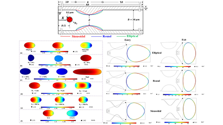 Volume 38 Issue 3 | Physics of Fluids | AIP Publishing