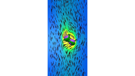 Volume 38 Issue 4 | Physics of Fluids | AIP Publishing