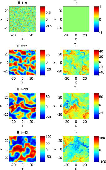 Dynamics of nonlinearly interacting magnetic electron drift vortex ...