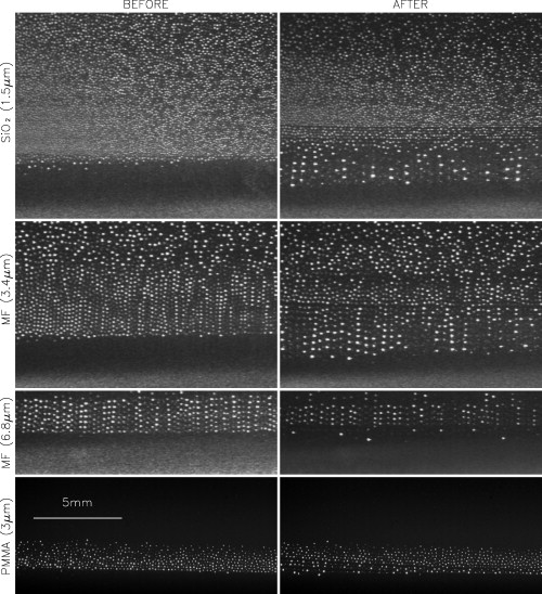 Agglomeration of microparticles in complex plasmas | Physics of Plasmas ...