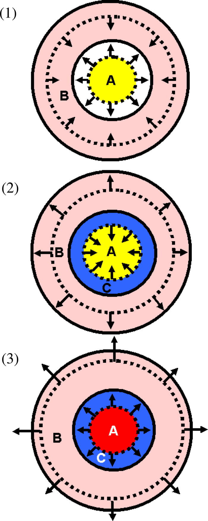 Analytic criteria for shock ignition of fusion reactions in a central ...