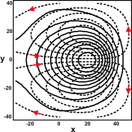 Convective transport by intermittent blob-filaments: Comparison of ...
