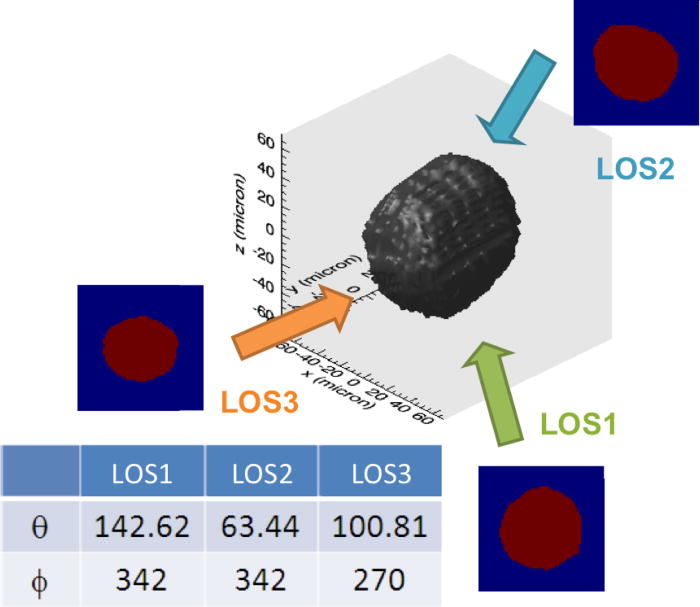 Investigation of a polychromatic tomography method for the extraction of the three-dimensional ...