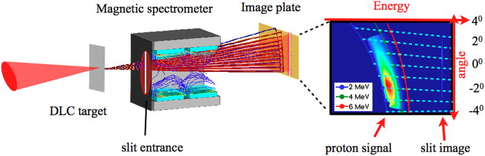 On the small divergence of laser-driven ion beams from nanometer thick ...