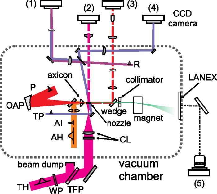 Induction of electron injection and betatron oscillation in a plasma ...