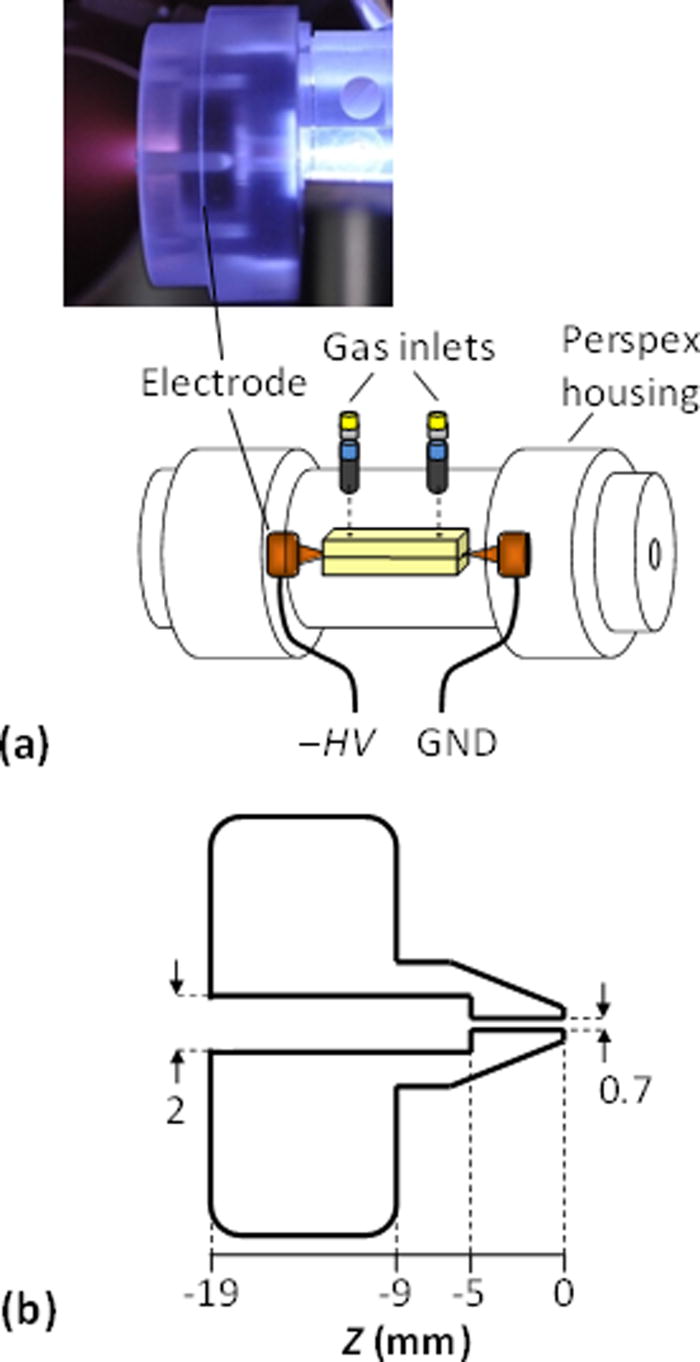 The role of the gas/plasma plume and self-focusing in a gas-filled ...