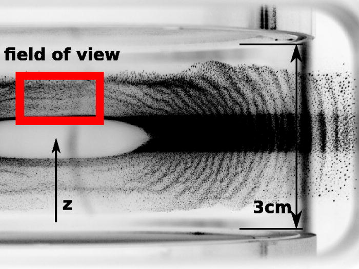 Stereoscopy of dust density waves under microgravity: Velocity ...
