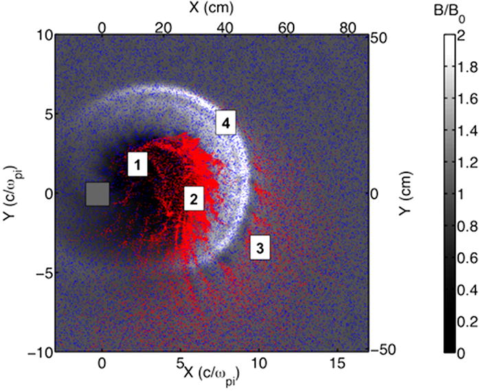 Laser-driven, magnetized quasi-perpendicular collisionless shocks on ...