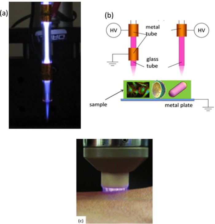 Low temperature plasma biomedicine: A tutorial reviewa) | Physics of ...