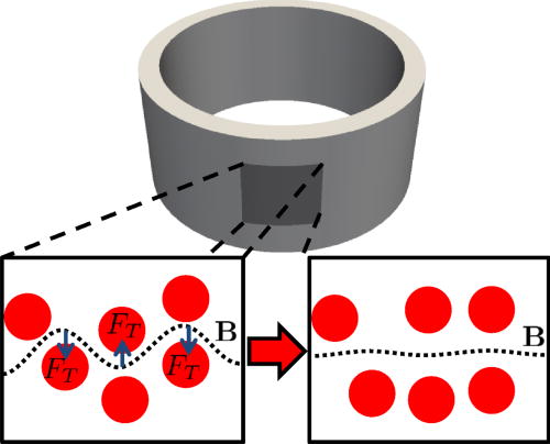 Instability growth for magnetized liner inertial fusion seeded by ...