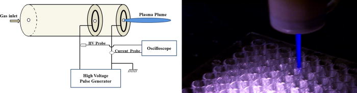 Evaluation of the effects of a plasma activated medium on cancer cells ...