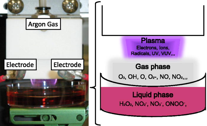 Cancer therapy using non-thermal atmospheric pressure plasma with ultra ...