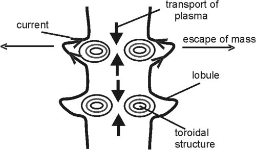 Existence of a return direction for plasma escaping from a pinched ...