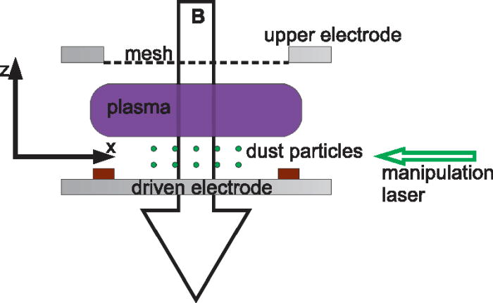 Vertical oscillations of dust particles in a strongly magnetized plasma ...
