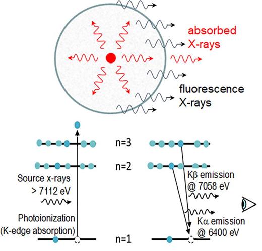 Fluorescence and absorption spectroscopy for warm dense matter studies and ICF plasma ...